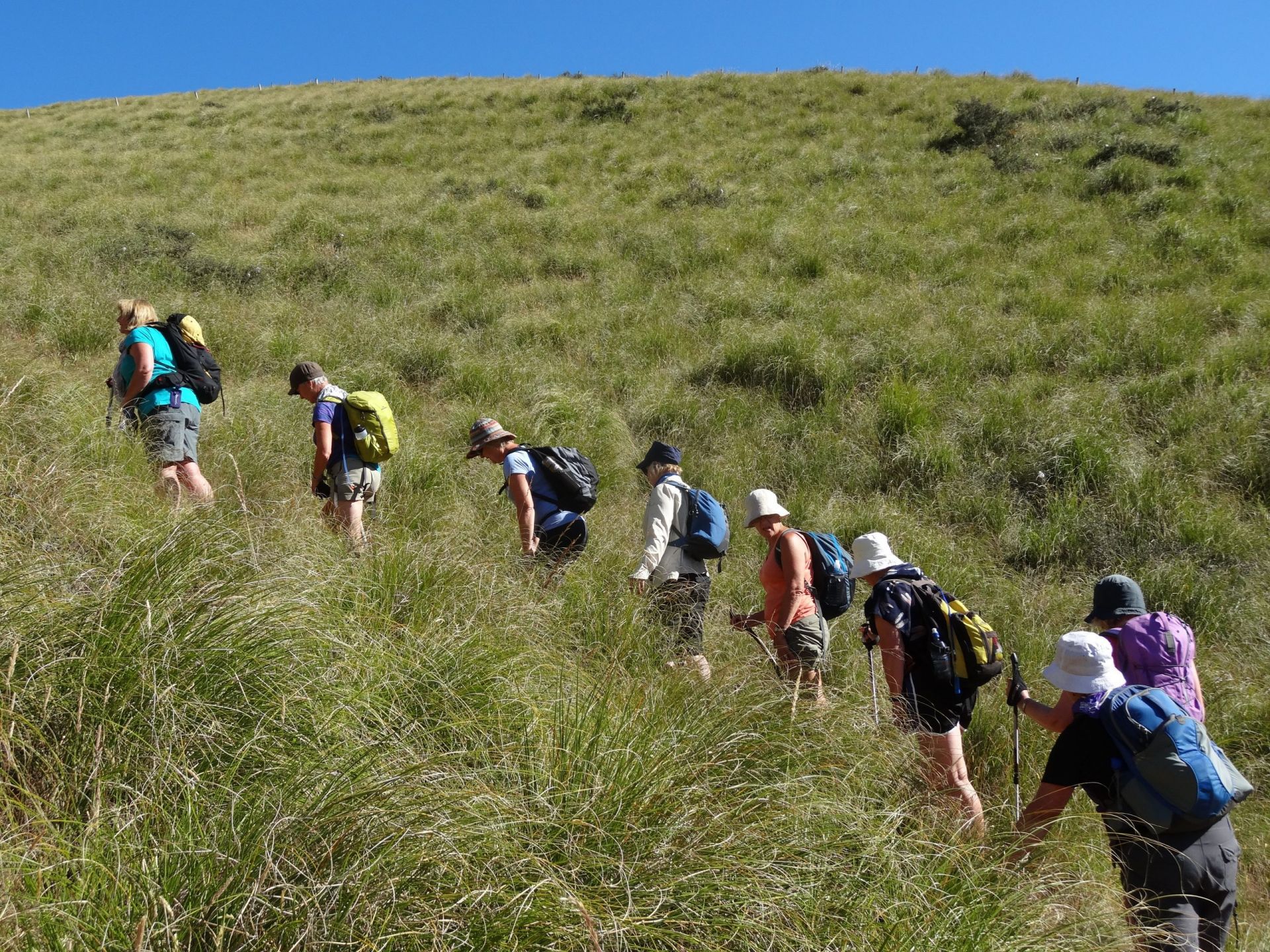 Walking Track - Four Peaks - High Country Tracks